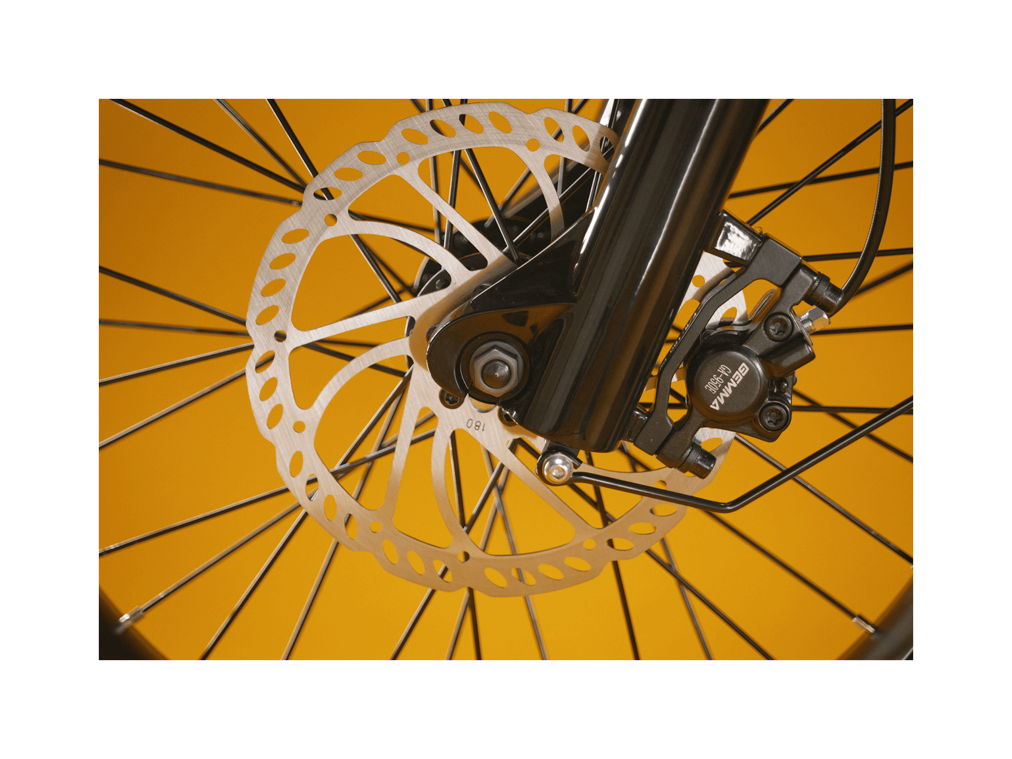 RadRunner Plus Electric Cargo – BlueDogRide
